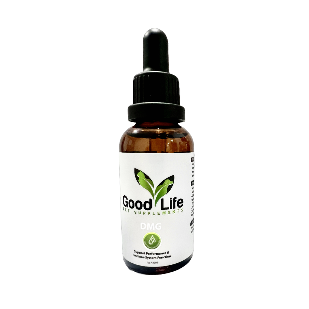 GoodLife DMG Pet Immune Booster – PetMedic
